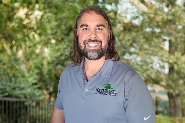 Certified Arborist Tree Services in Denver, CO | SavATree