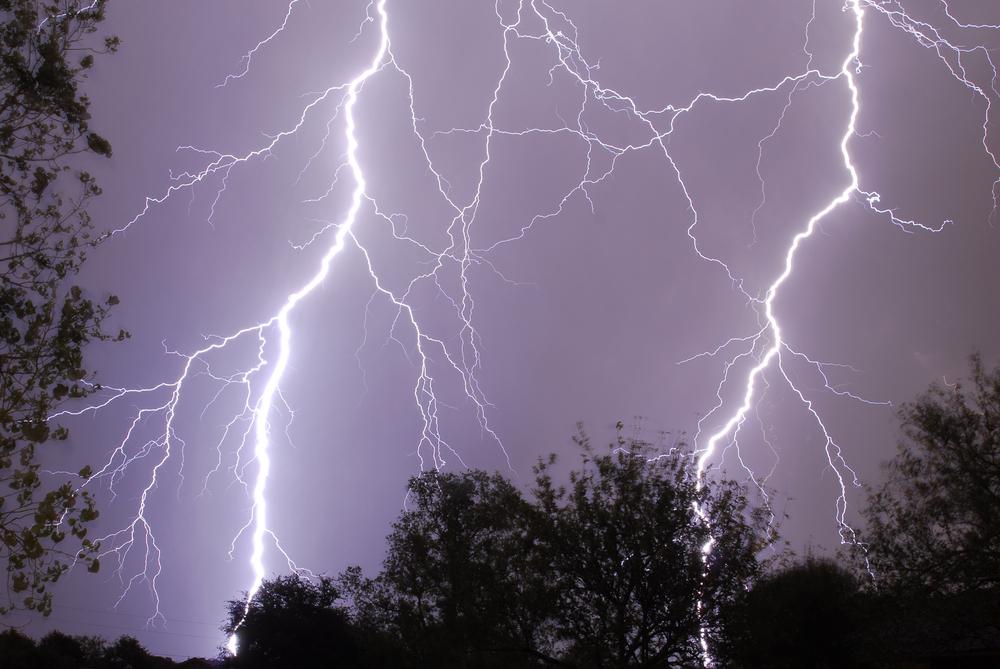 Installing a Lightning Protection System - SavATree