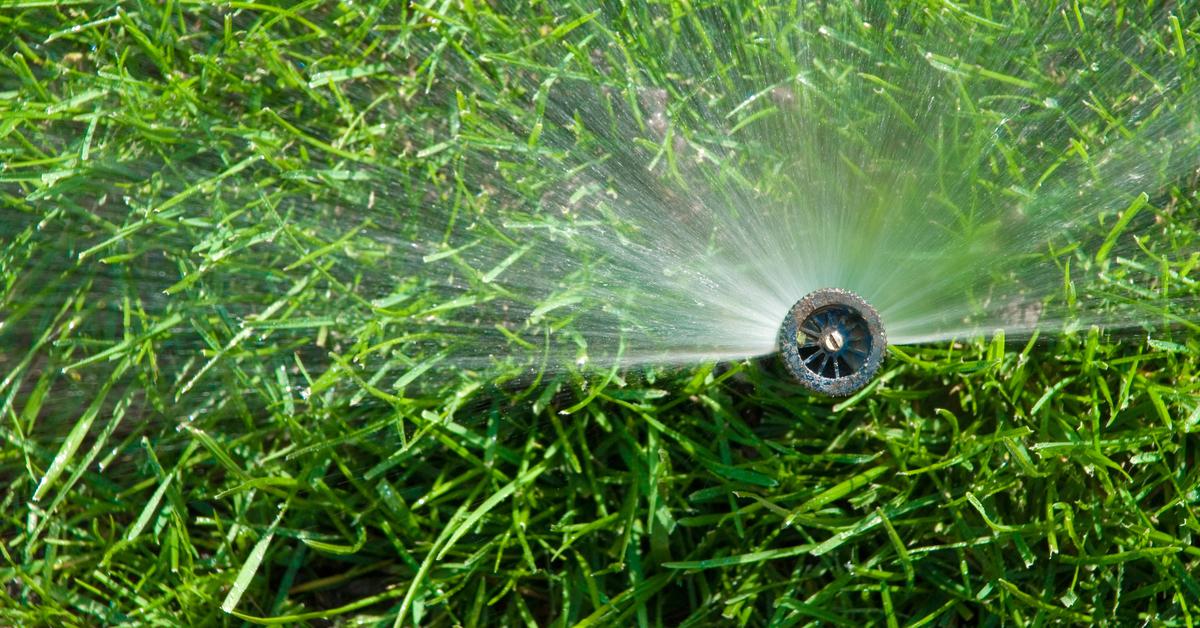 Hydration Help for California Landscapes | SavATree